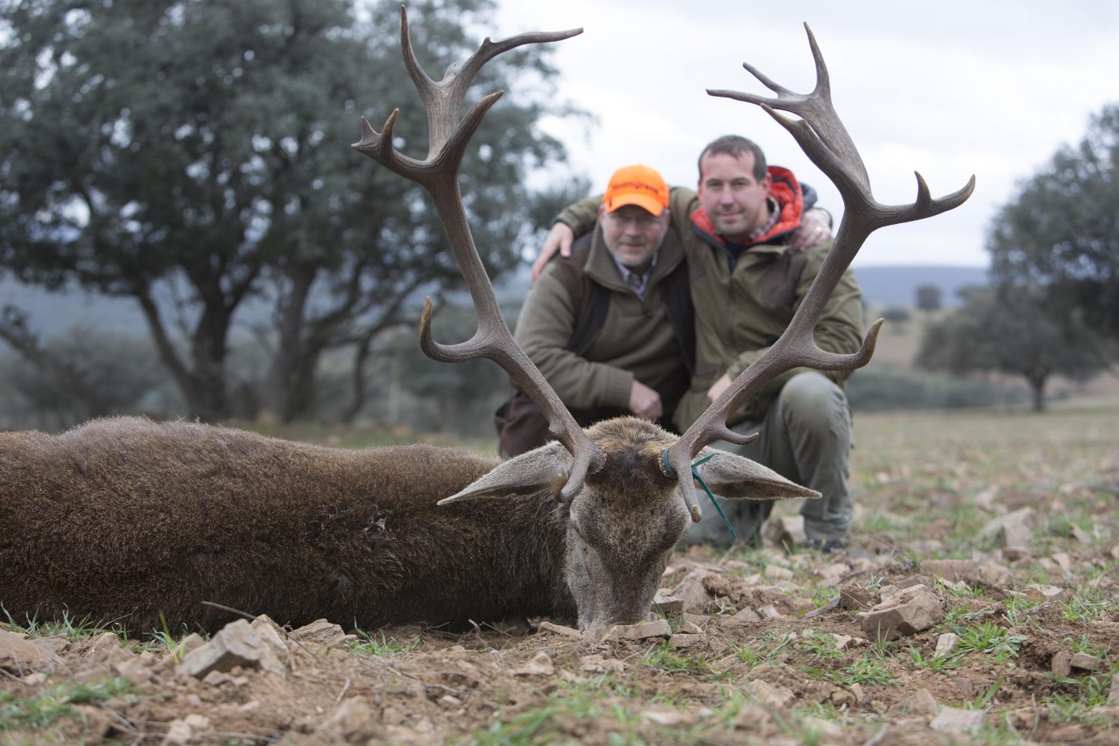 Monteria DrevJakt med bästa partnern i Spanien. Blir inte bättre!
